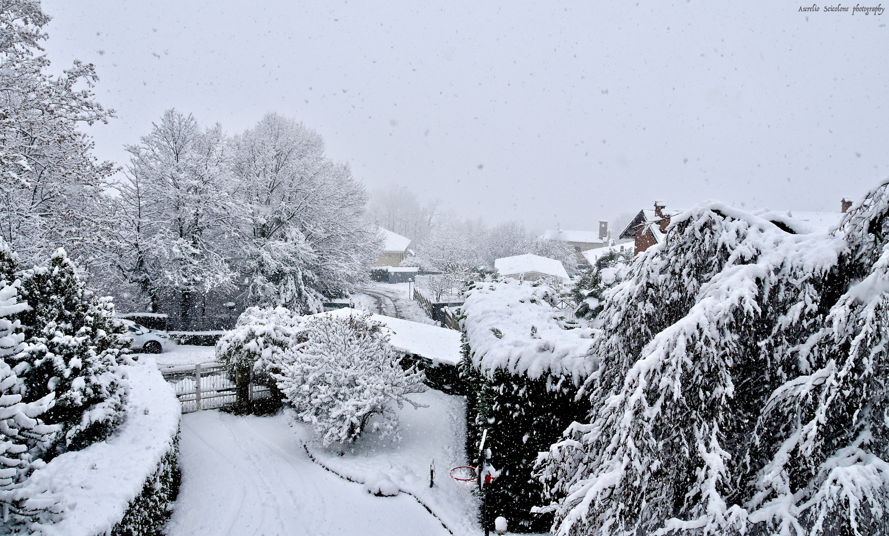 Neve, Snow, Neige, Schnee, Nieve Imagen & Foto | paesaggi, landscapes ...