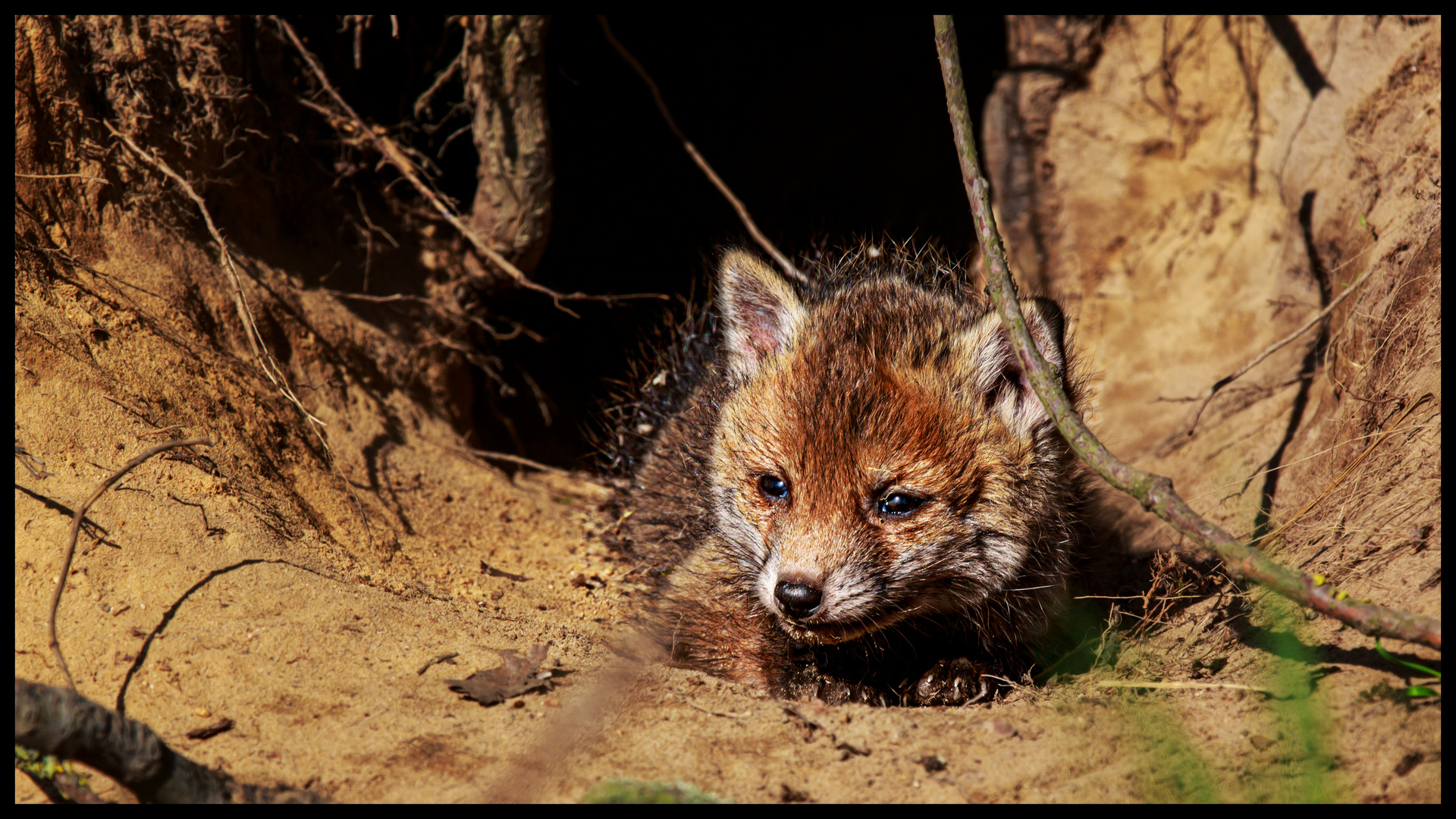 New Life Foto & Bild | tiere, tierkinder, natur Bilder auf fotocommunity