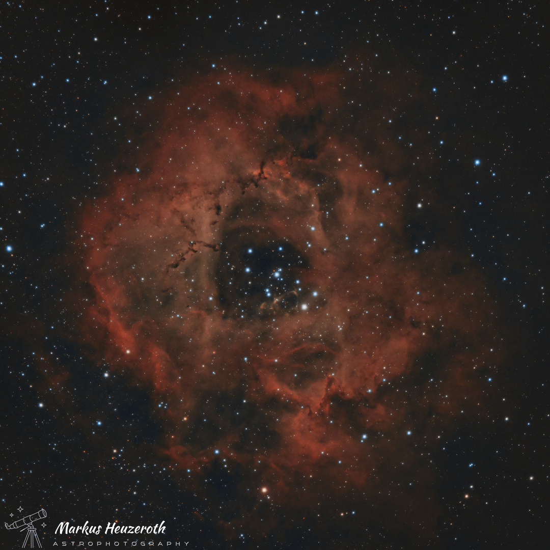 NGC 2237 - Rosettennebel Foto & Bild | astrofotografie, himmel, himmel ...