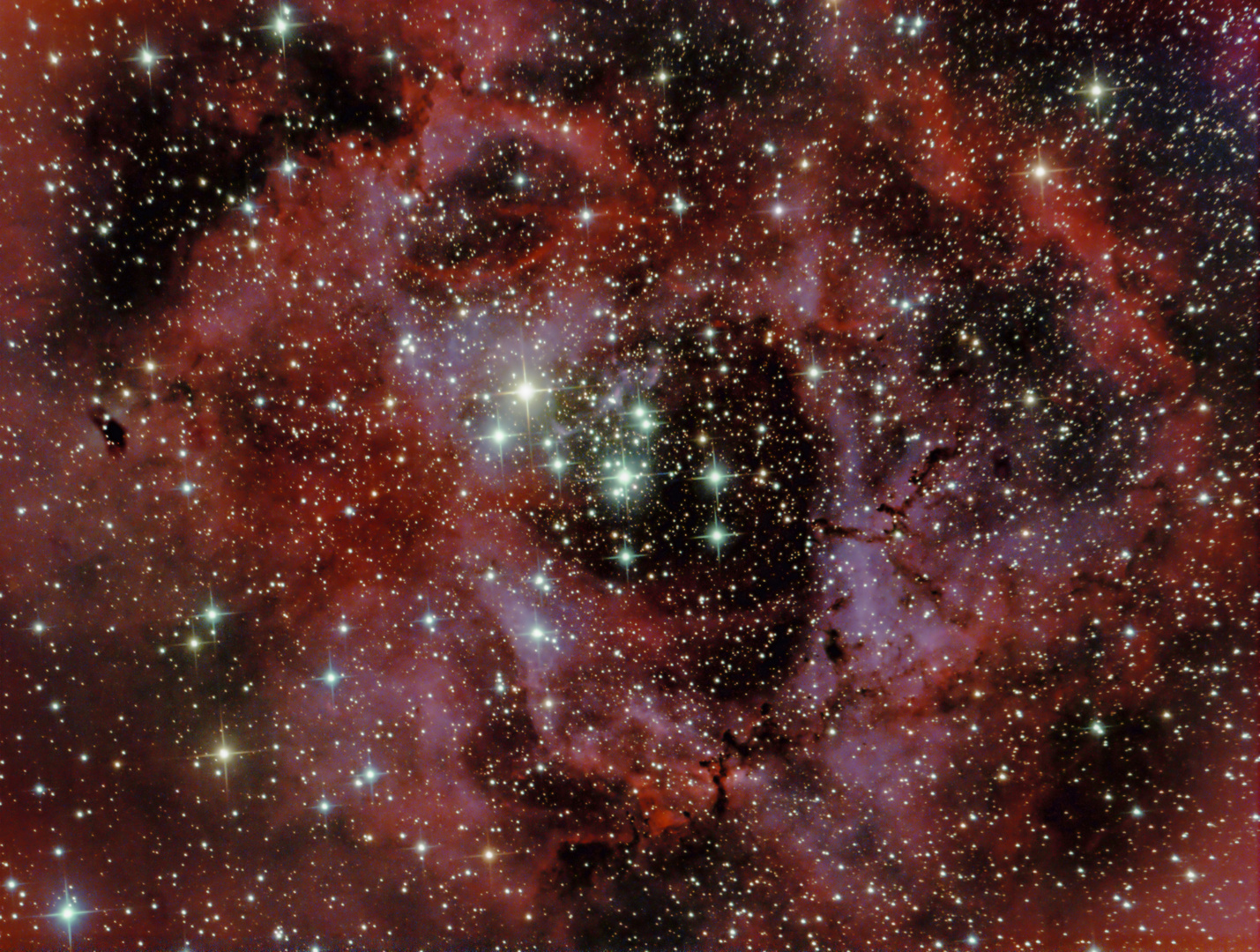 NGC 2238 Foto & Bild | astrofotografie, himmel, opt. phänomene der ...