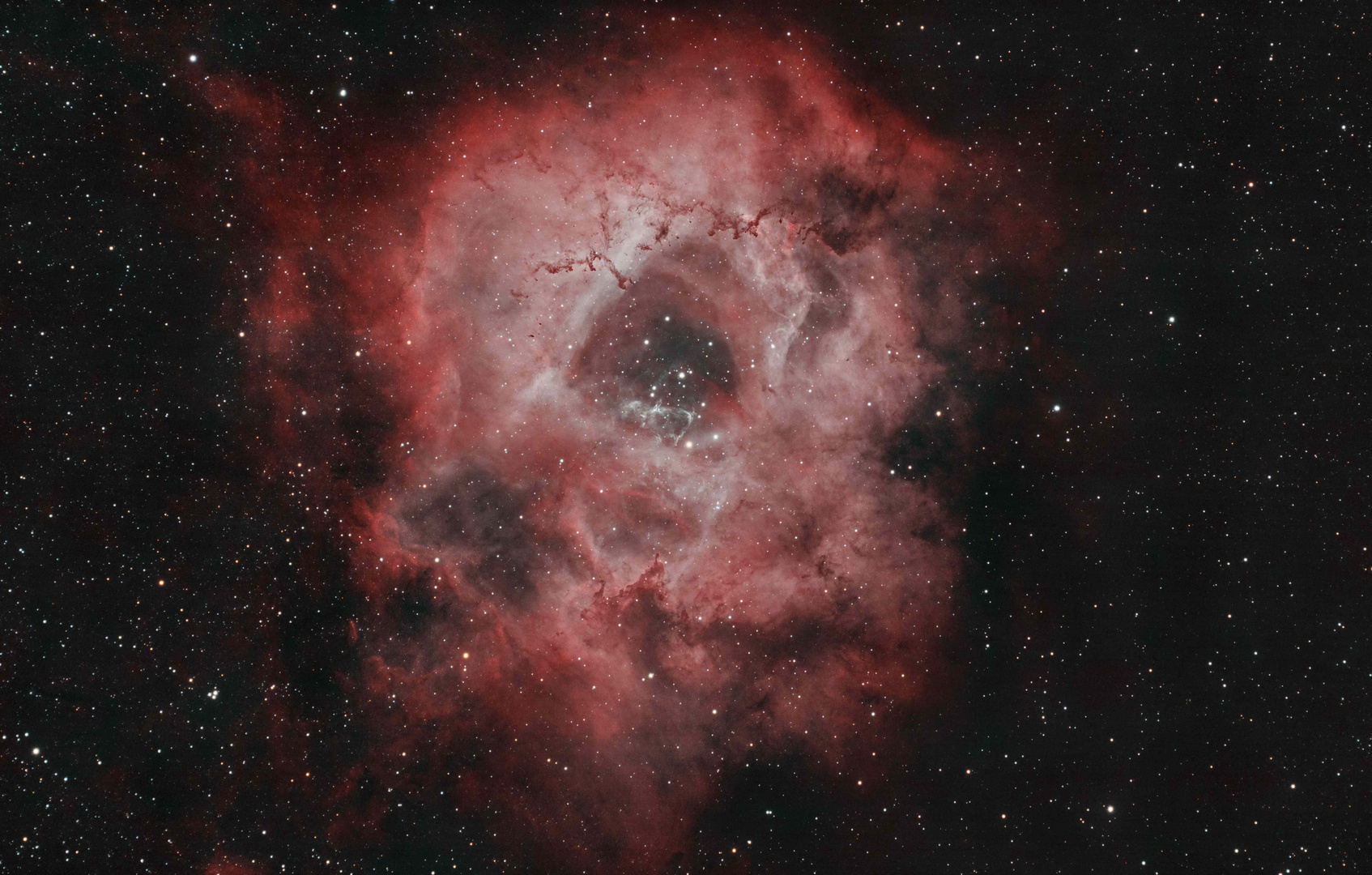 NGC 2244 Rosettennebel Foto & Bild | landschaft, himmel ...