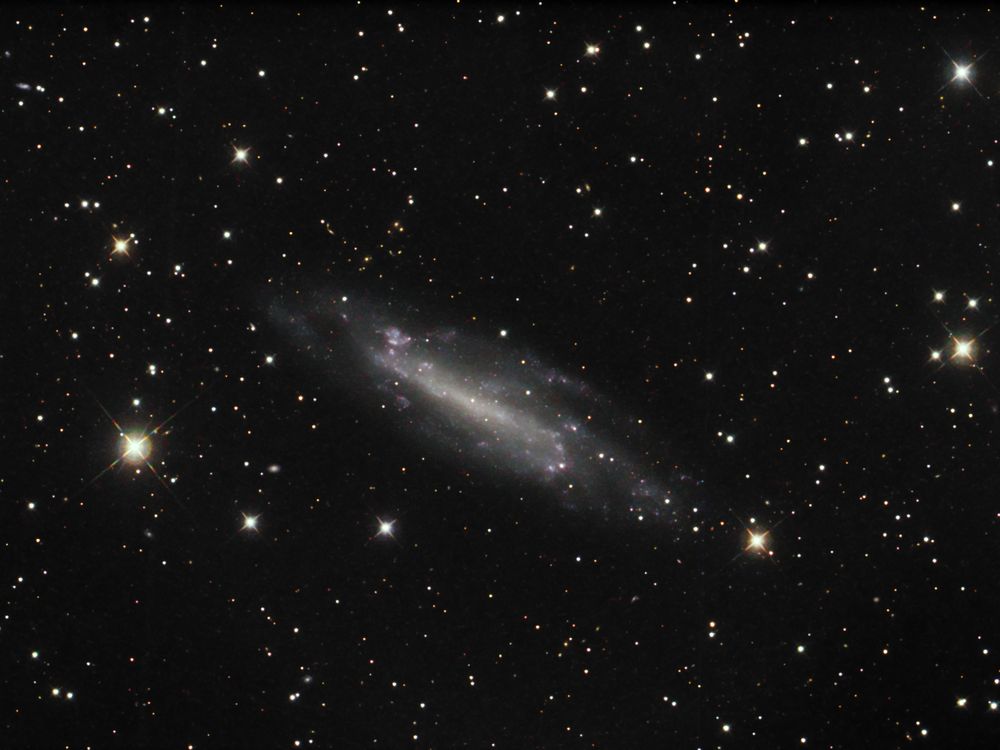 NGC 4236 Foto & Bild | astrofotografie, himmel & universum, astro ...