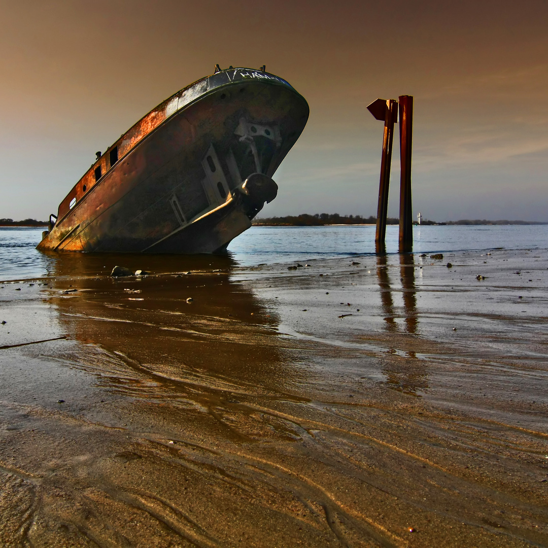 ** nicht den Kopf in den Sand stecken.. *** Foto & Bild | world ... ** nicht den Kopf in den Sand stecken.. *** Foto & Bild | world ...