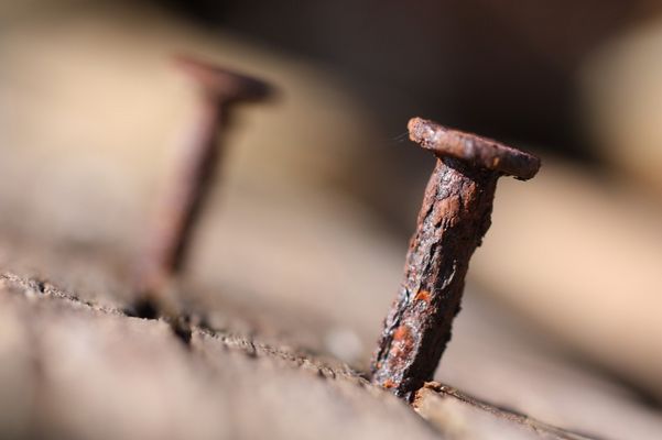 Birgit Otto - Fotos & Bilder - Fotografin aus Zimmern, Deutschland ...