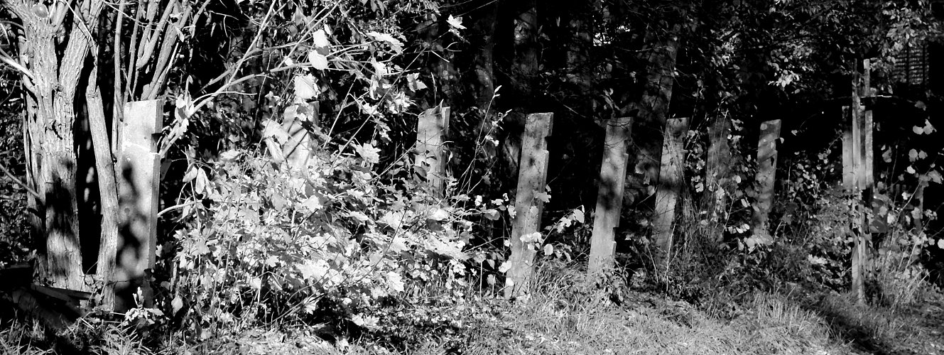 Nicht mehr alle Latten Foto & Bild | architektur, experimente ... Nicht mehr alle Latten Foto & Bild | architektur, experimente ...