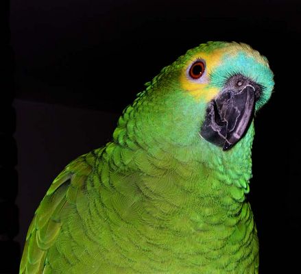 Michael Reissig - Fotos & Bilder - Fotograf aus Hillegom, Niederlande ...