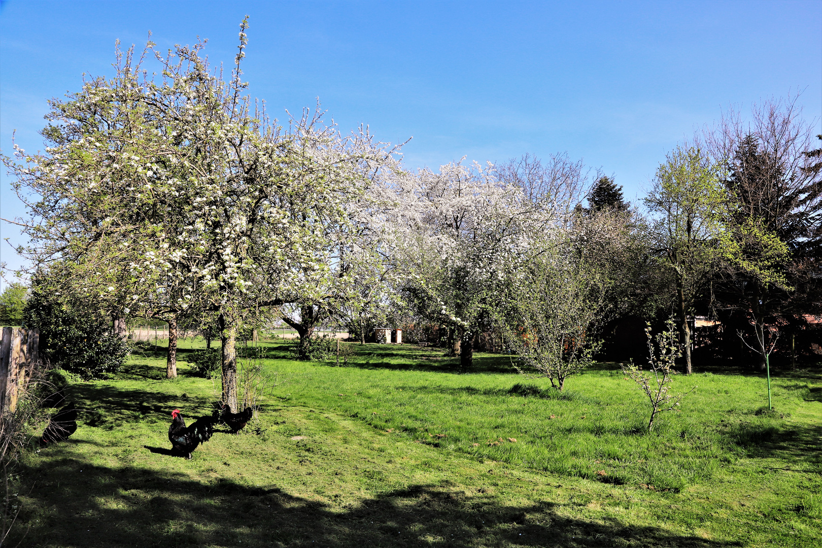 niederrheinischer Bonget Foto & Bild | landschaft, jahreszeiten ...