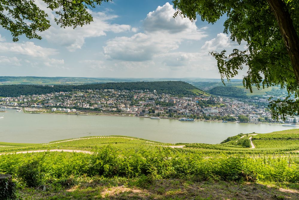 Niederwald-Blick 26 Foto & Bild | rhein, rüdesheim, nahe Bilder auf ...