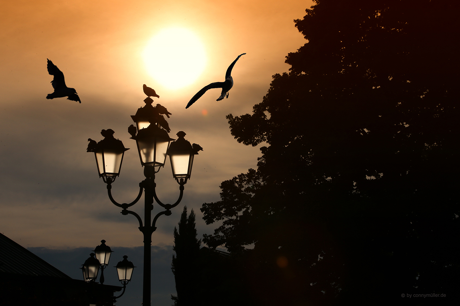 Nightfly Foto & Bild | europe, italy, vatican city, s marino, italy ...