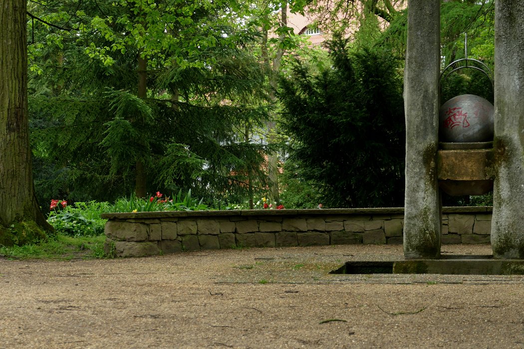 Nikolaus Kopernikus Foto & Bild | schatten, blumen, oberpfalz Bilder ...