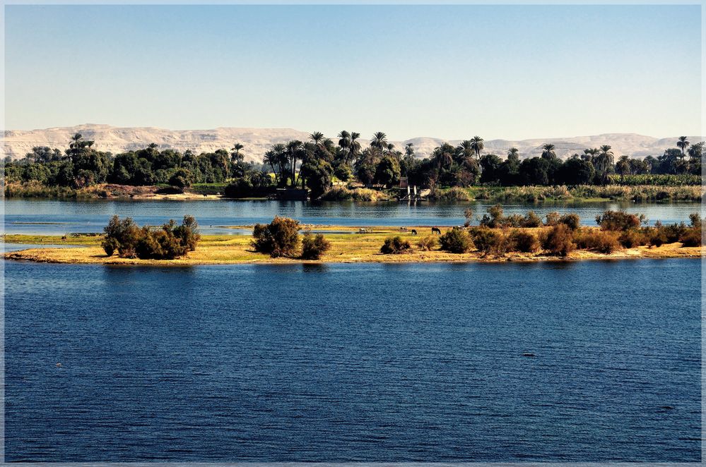 Nilinsel Foto & Bild | africa, egypt, north africa Bilder auf fotocommunity