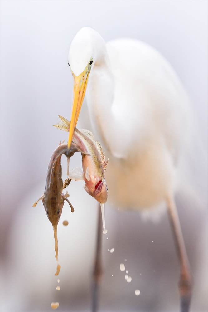 Nimm Zwei Foto & Bild | spezial, winter, natur Bilder auf fotocommunity