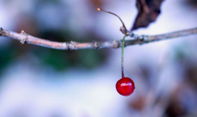 Raphaela Steffen - Fotos & Bilder - Fotografin | fotocommunity