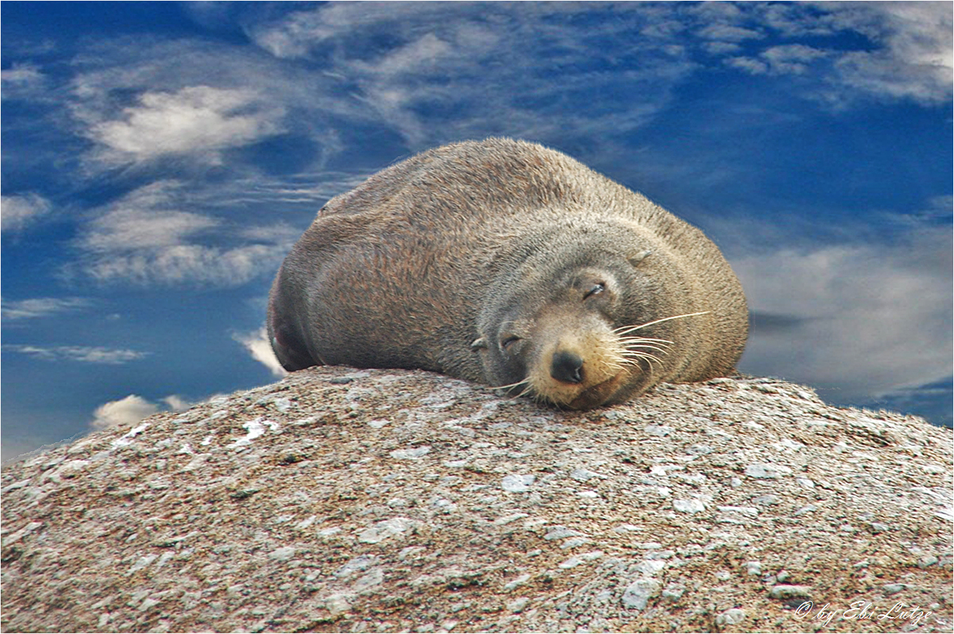 No Worries Mate Foto Bild Australia Oceania Australia no-worries-mate-foto-bild-australia-oceania-australia