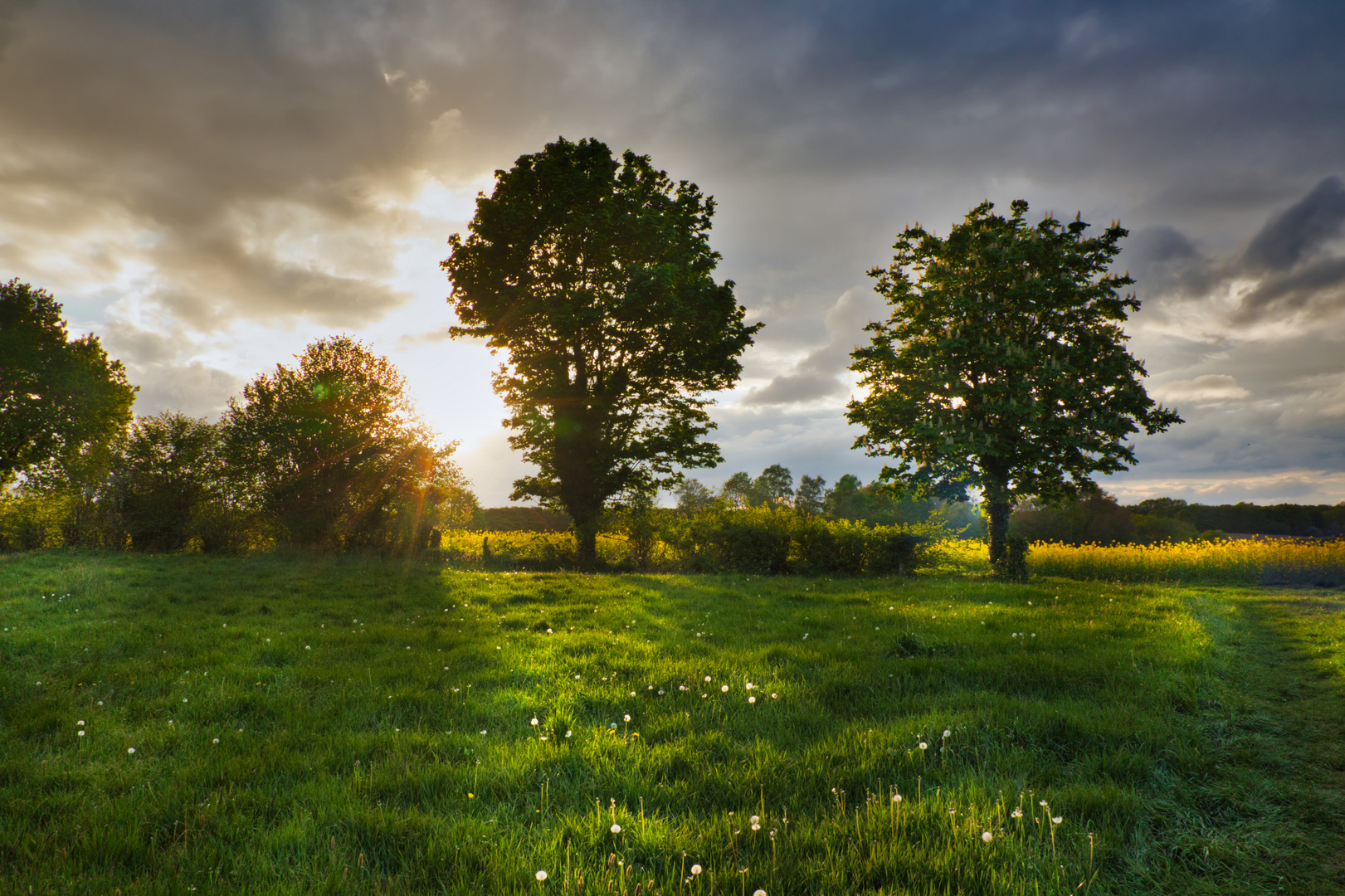 Noch ein kurzer Blick aufs Feld Foto & Bild | landschaft ...