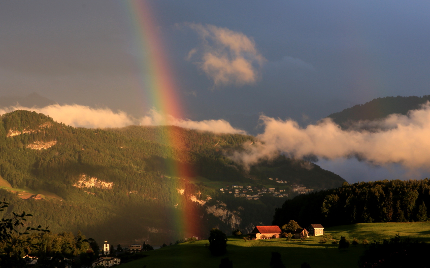 Noch em Regä schint d'Sonnä Foto & Bild | world, sonnenuntergang, wald ...