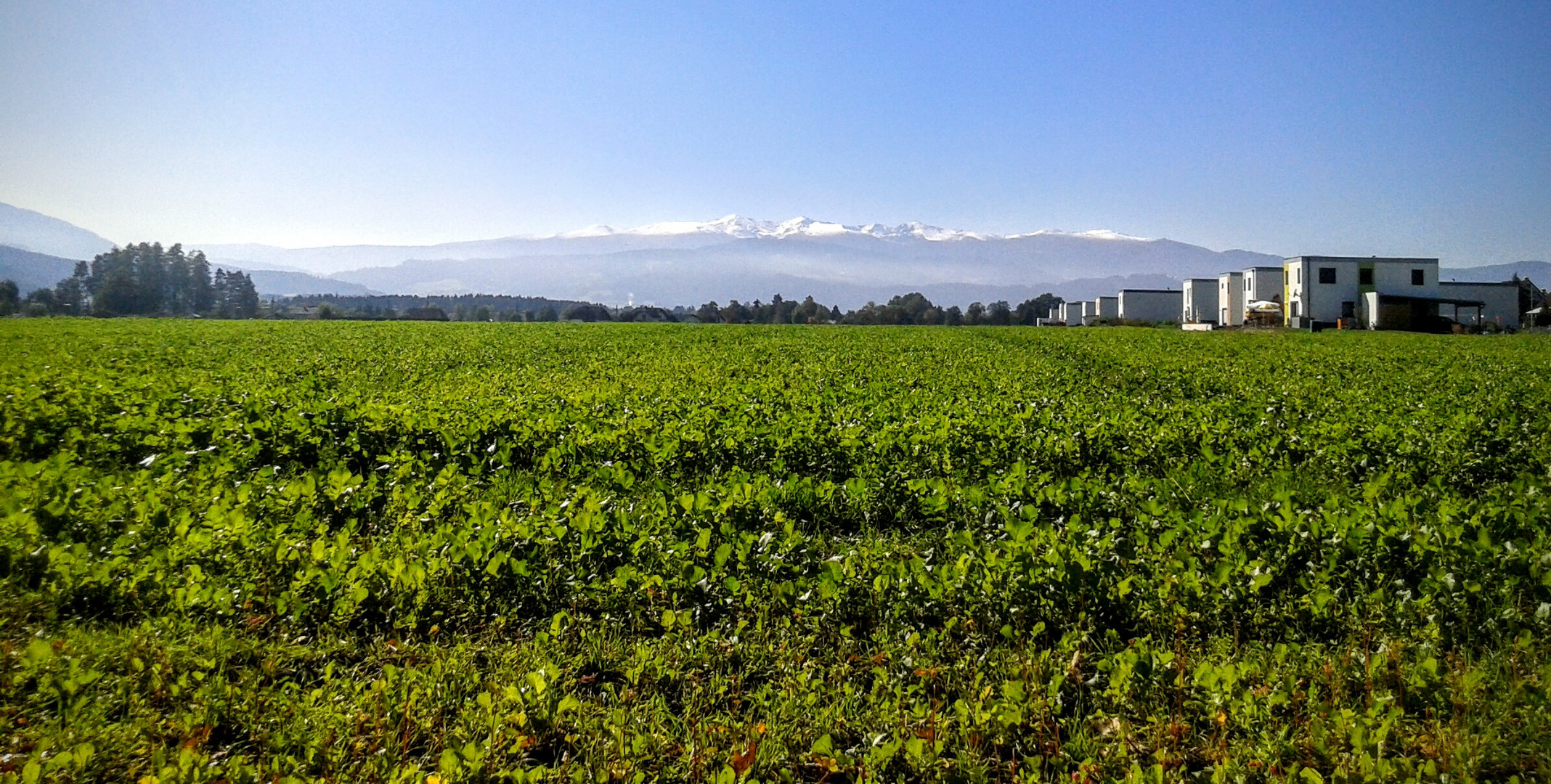 Noch grüne Felder... Foto & Bild | jahreszeiten, herbst, natur Bilder ...