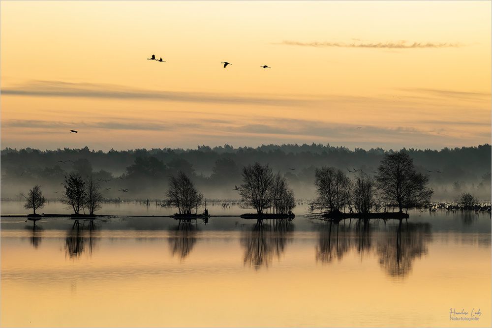 Noch vor Sonnenaufgang Foto & Bild | sonnenaufgang, himmel, natur Bilder auf fotocommunity