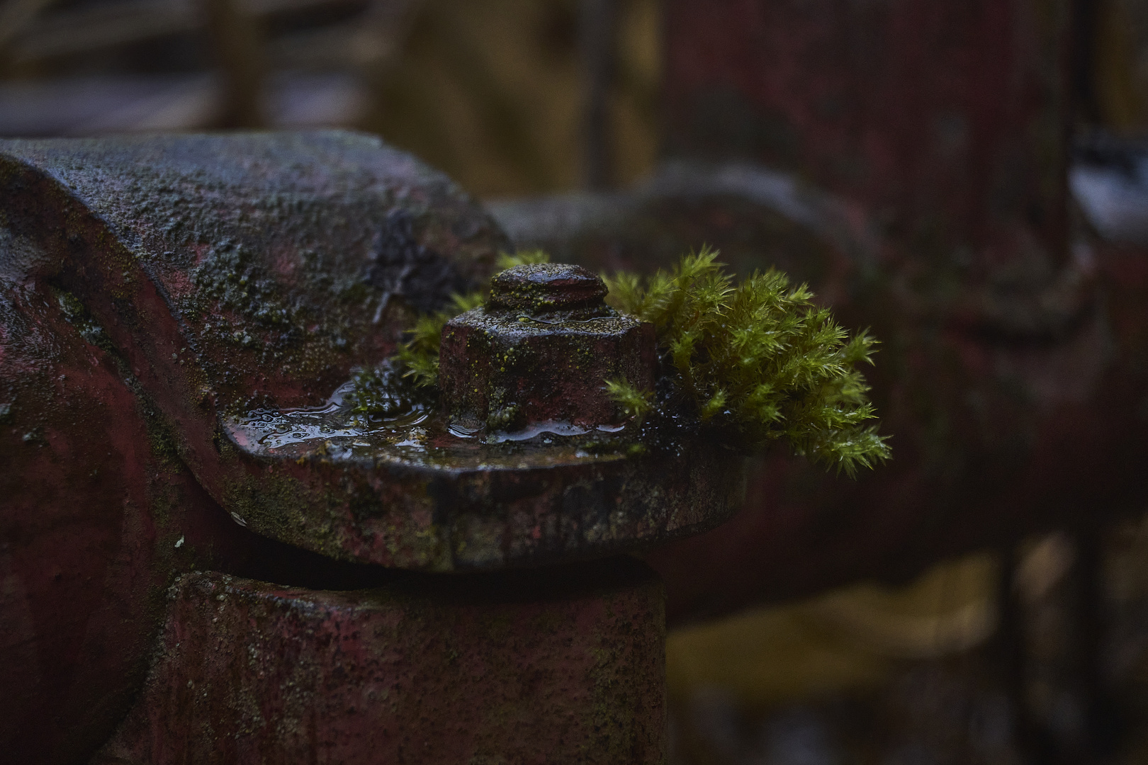 Nochmal die Mutter und das Moos Foto & Bild | industrie und technik ... Nochmal die Mutter und das Moos Foto & Bild | industrie und technik ...