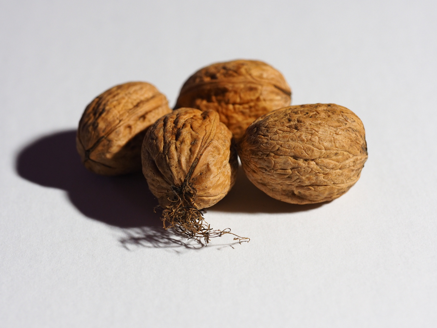 Noix... photo et image | les fruits, nature Images fotocommunity