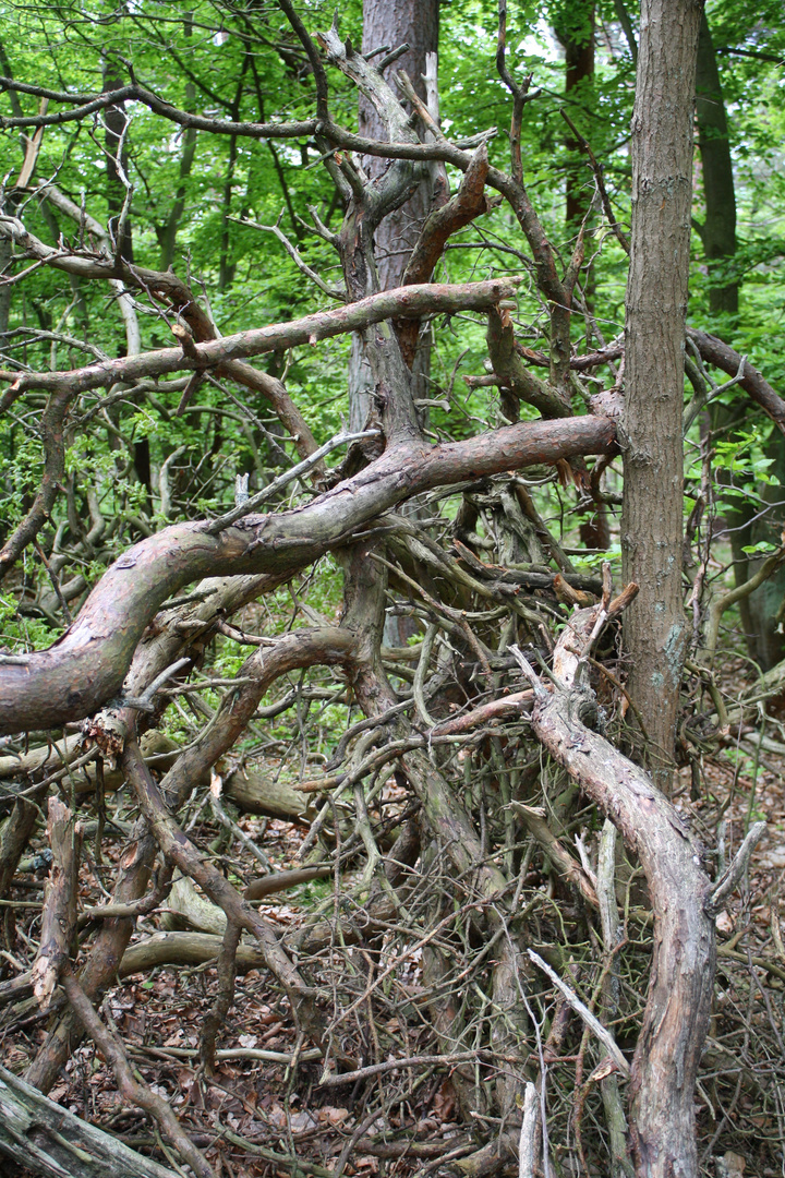 noname Foto & Bild | reportage dokumentation, natur Bilder auf ...