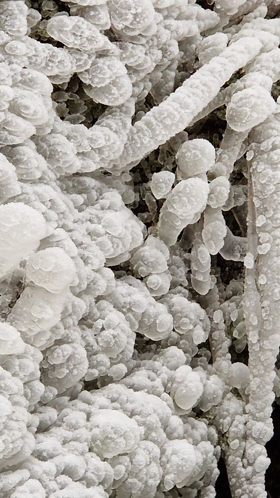 nonano Foto & Bild | jahreszeiten, winter, natur Bilder auf fotocommunity