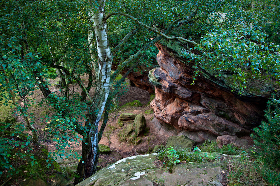 NoNude 3 Foto & Bild | landschaft, natur Bilder auf fotocommunity