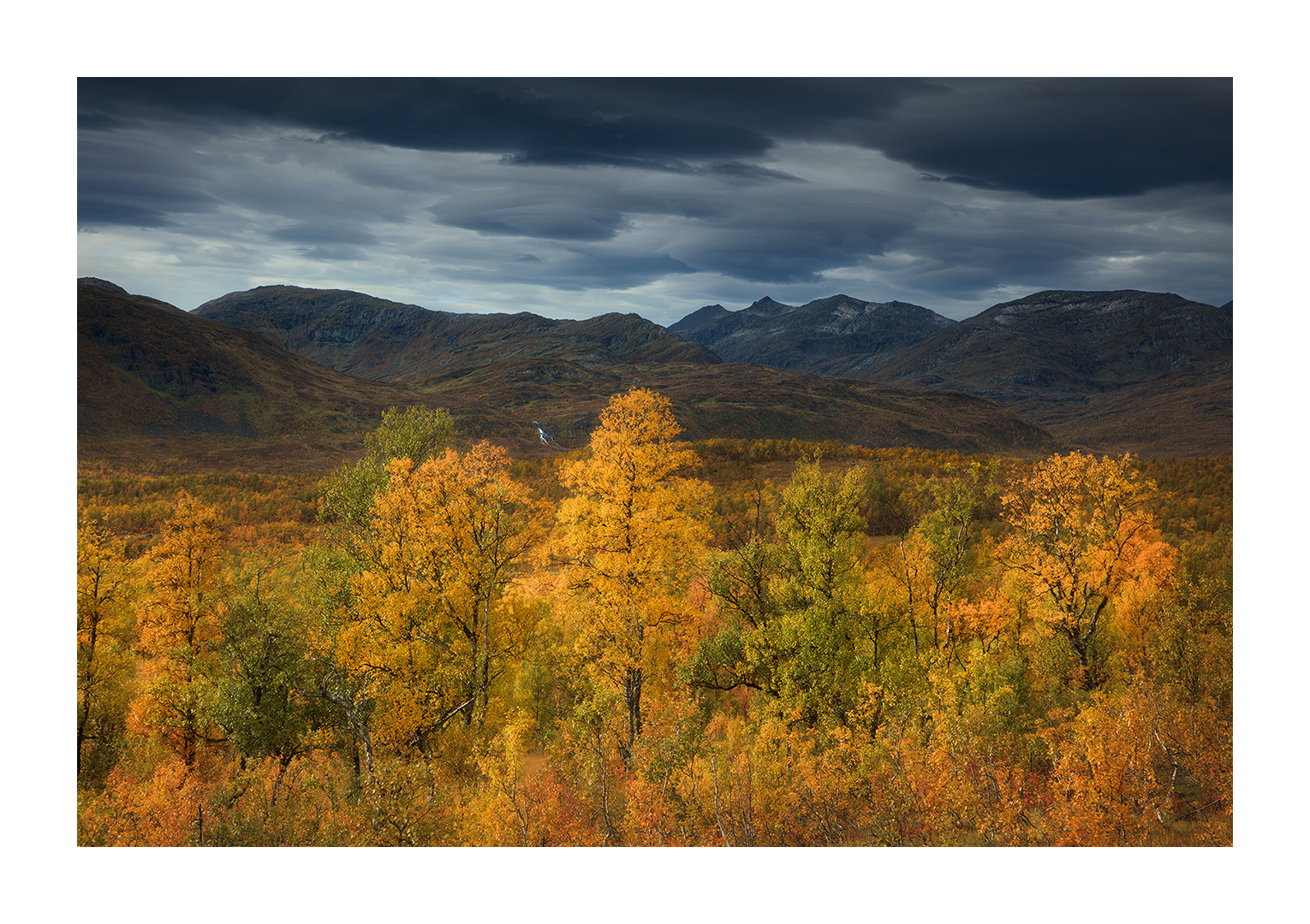 nordic fall colors ] Foto & Bild | europe, scandinavia, norway Bilder ...