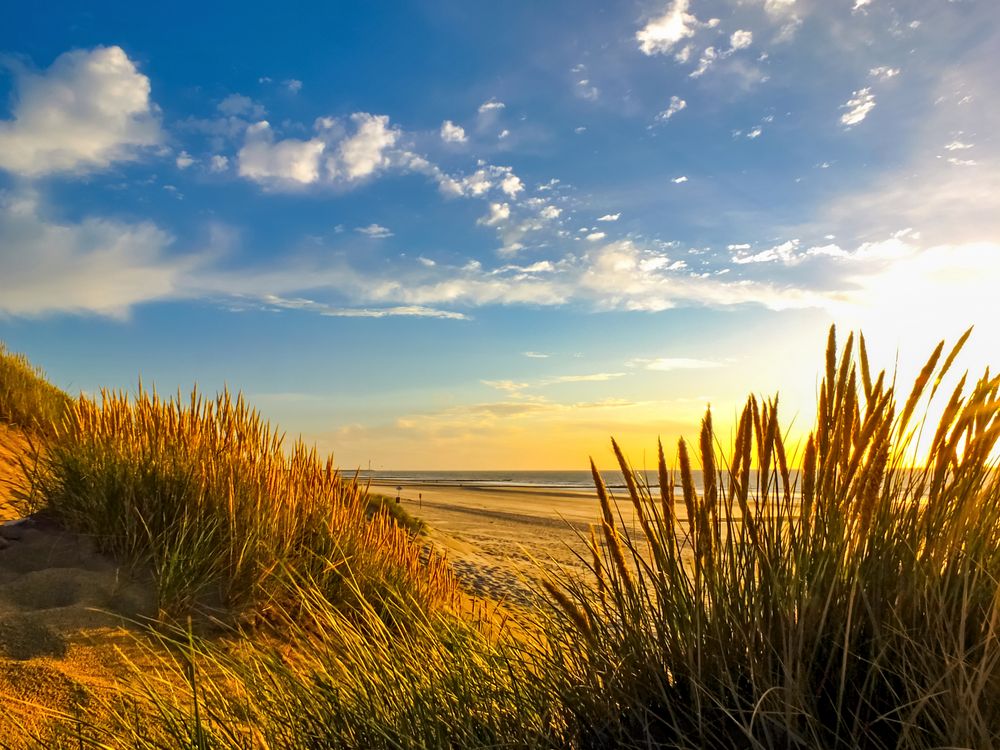 Nordseestrand Foto & Bild | archiv projekte naturchannel ...