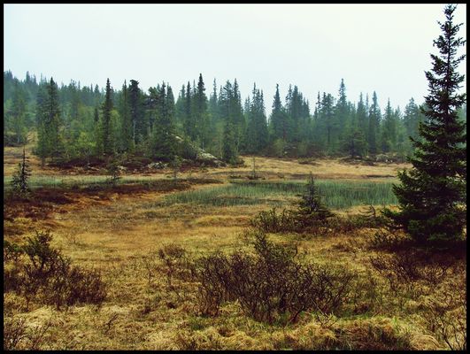 Nargel - Fotos & Bilder - Fotografin aus Greifswald, Deutschland ...