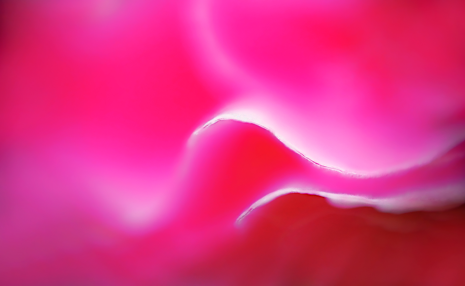 normal mache ich keine welle um meine bilder aber die blätter lagen so ...