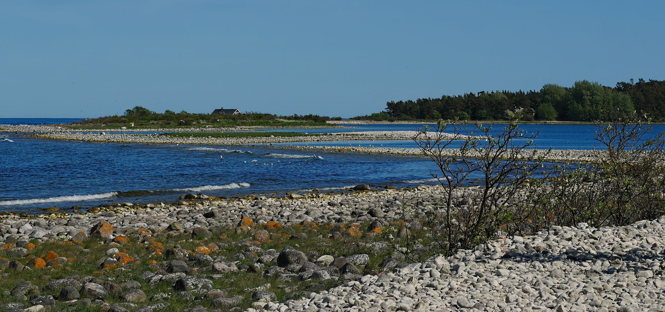 norra udde ... Foto & Bild | schweden, ostsee, natur Bilder auf ...
