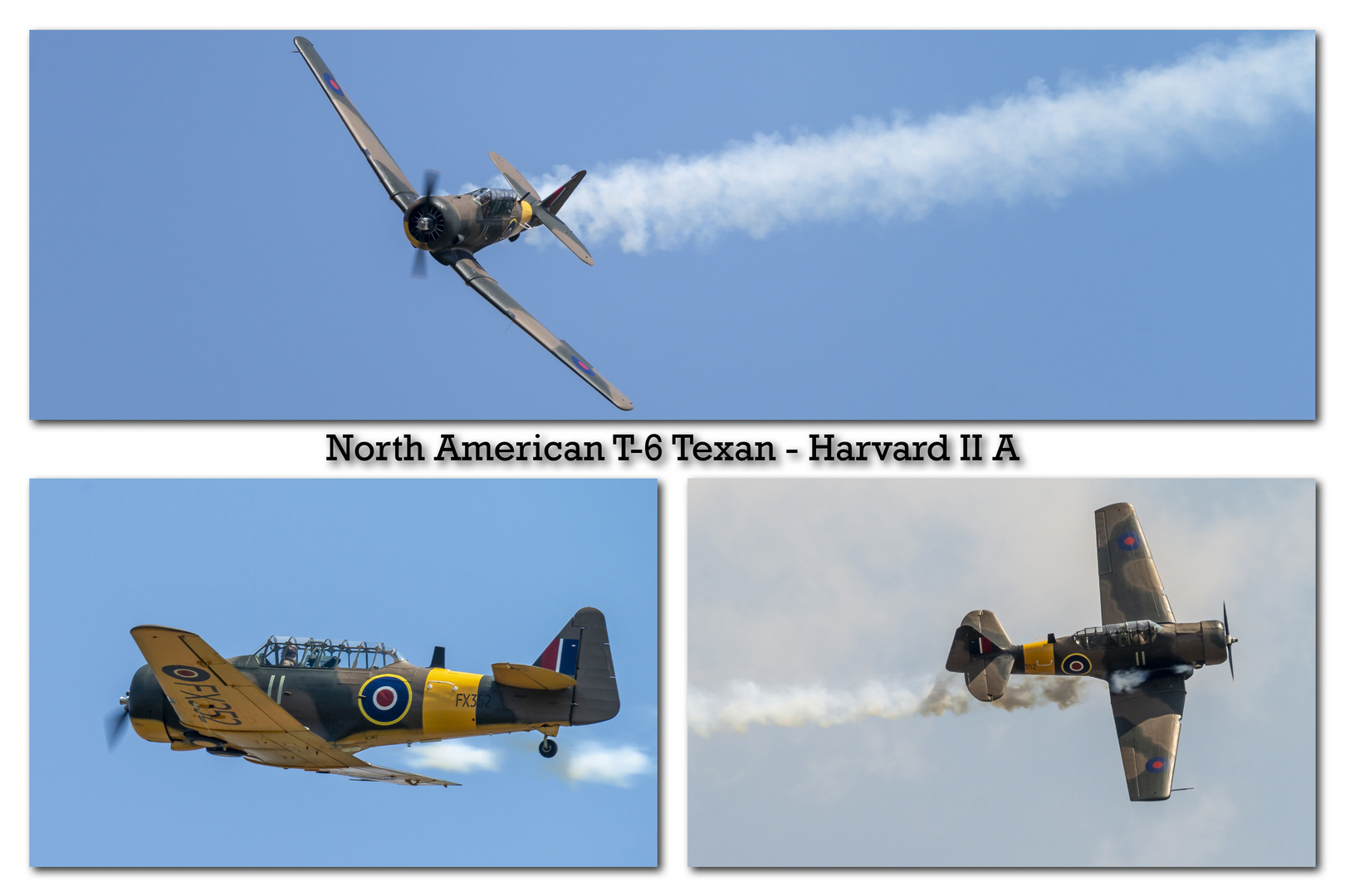 North American T-6 Texan - Harvard II A Foto & Bild | luftfahrt ...