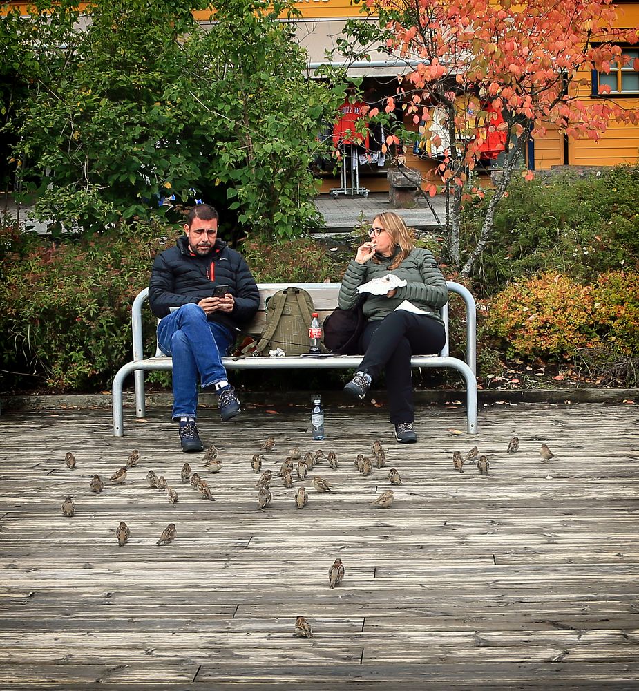 Norwegen - Flåm - Street Foto & Bild | street, world, mann Bilder auf fotocommunity