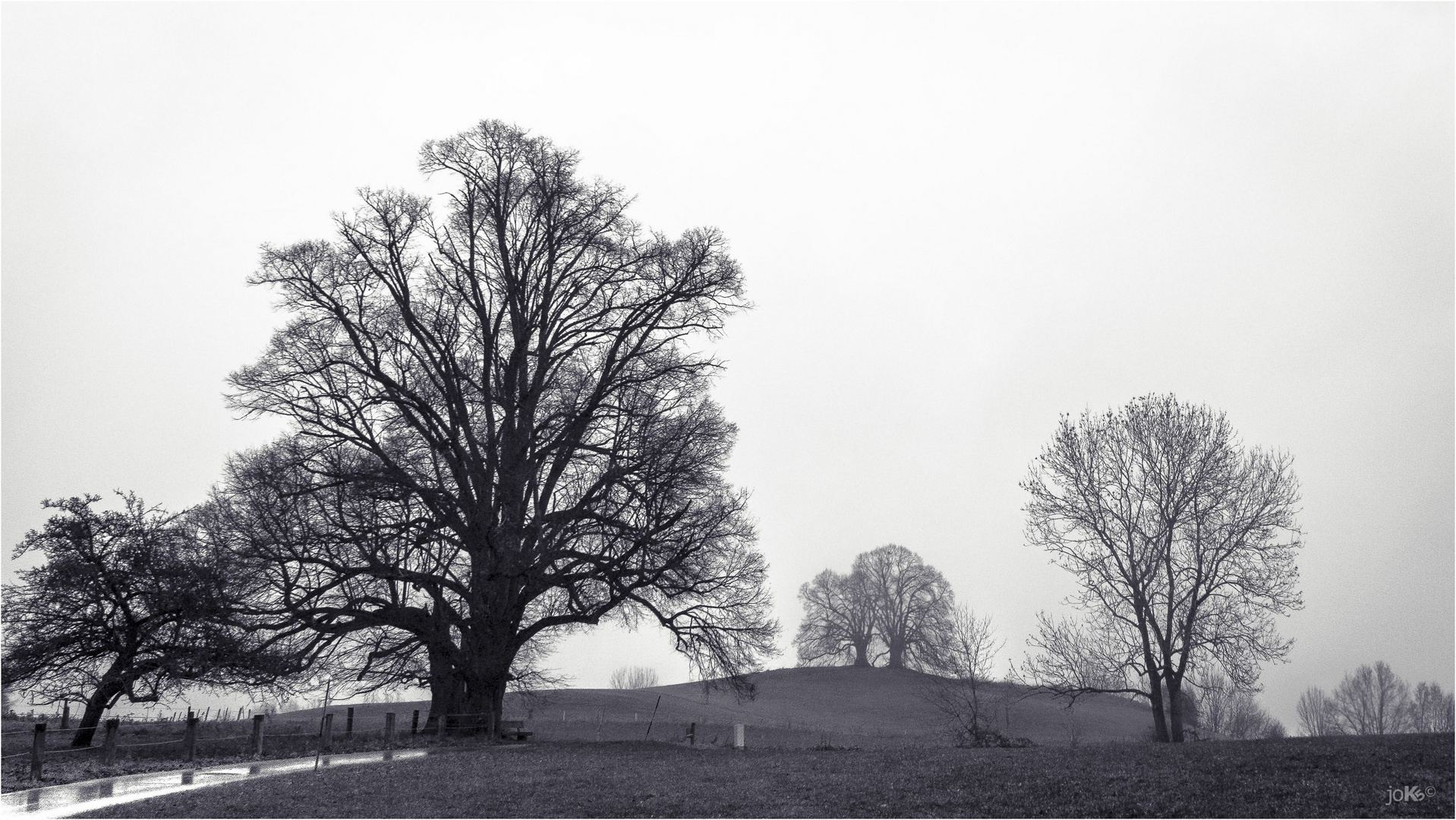 November Foto & Bild | jahreszeiten, herbst, natur-kreativ Bilder auf ...