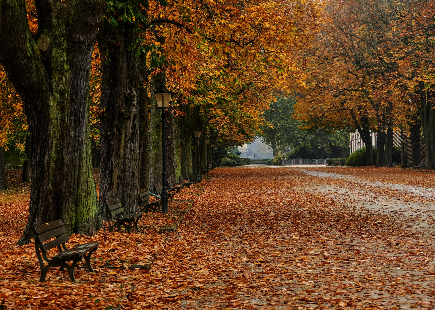 November Foto & Bild | park, world, herbst Bilder auf fotocommunity