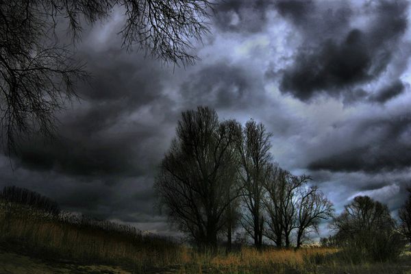 Quiesel - Fotos & Bilder - Fotograf aus Meerbusch, Deutschland ...