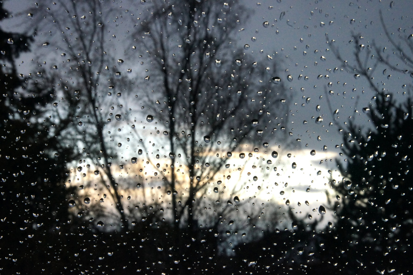 November Foto & Bild | natur, herbst, jahreszeiten Bilder auf fotocommunity