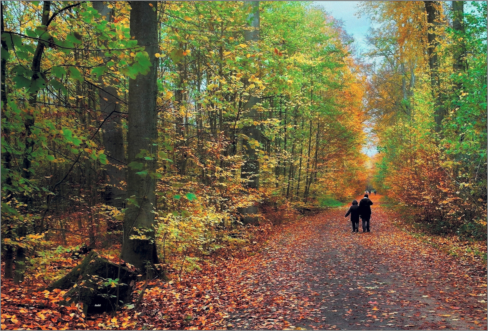 November Foto & Bild | fotos, people, street Bilder auf fotocommunity