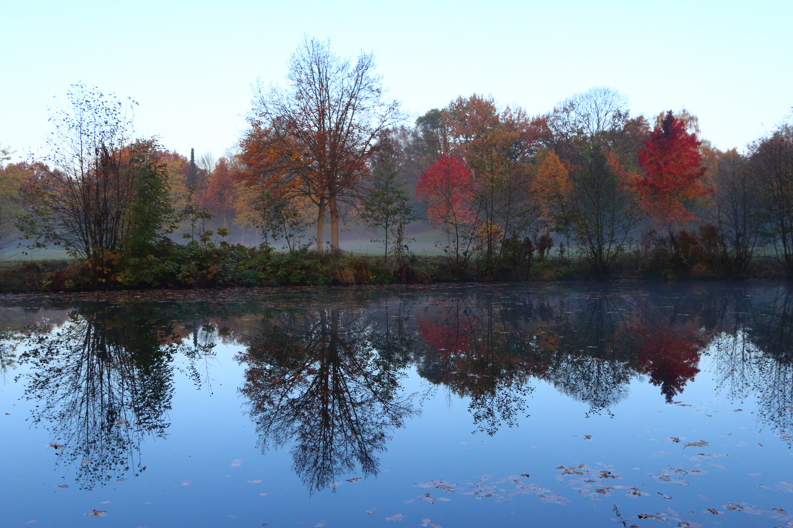 November Foto & Bild | jahreszeiten, herbst, wildlife.berlin Bilder auf ...