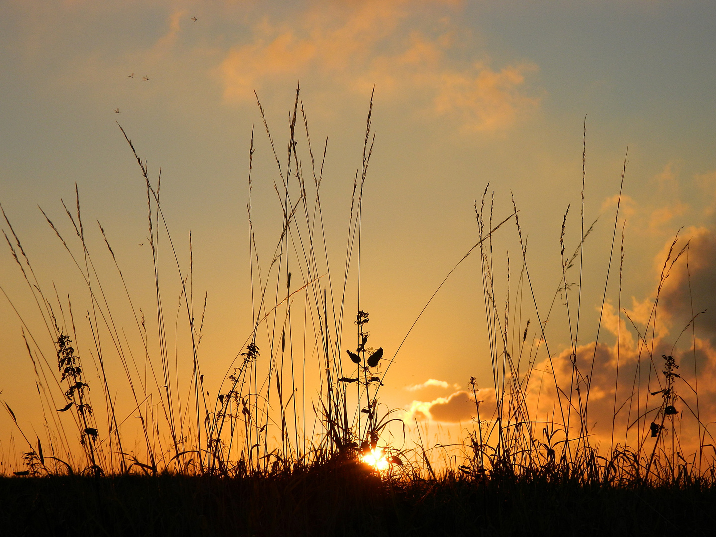 November Foto & Bild | sonnenaufgänge, himmel & universum ...