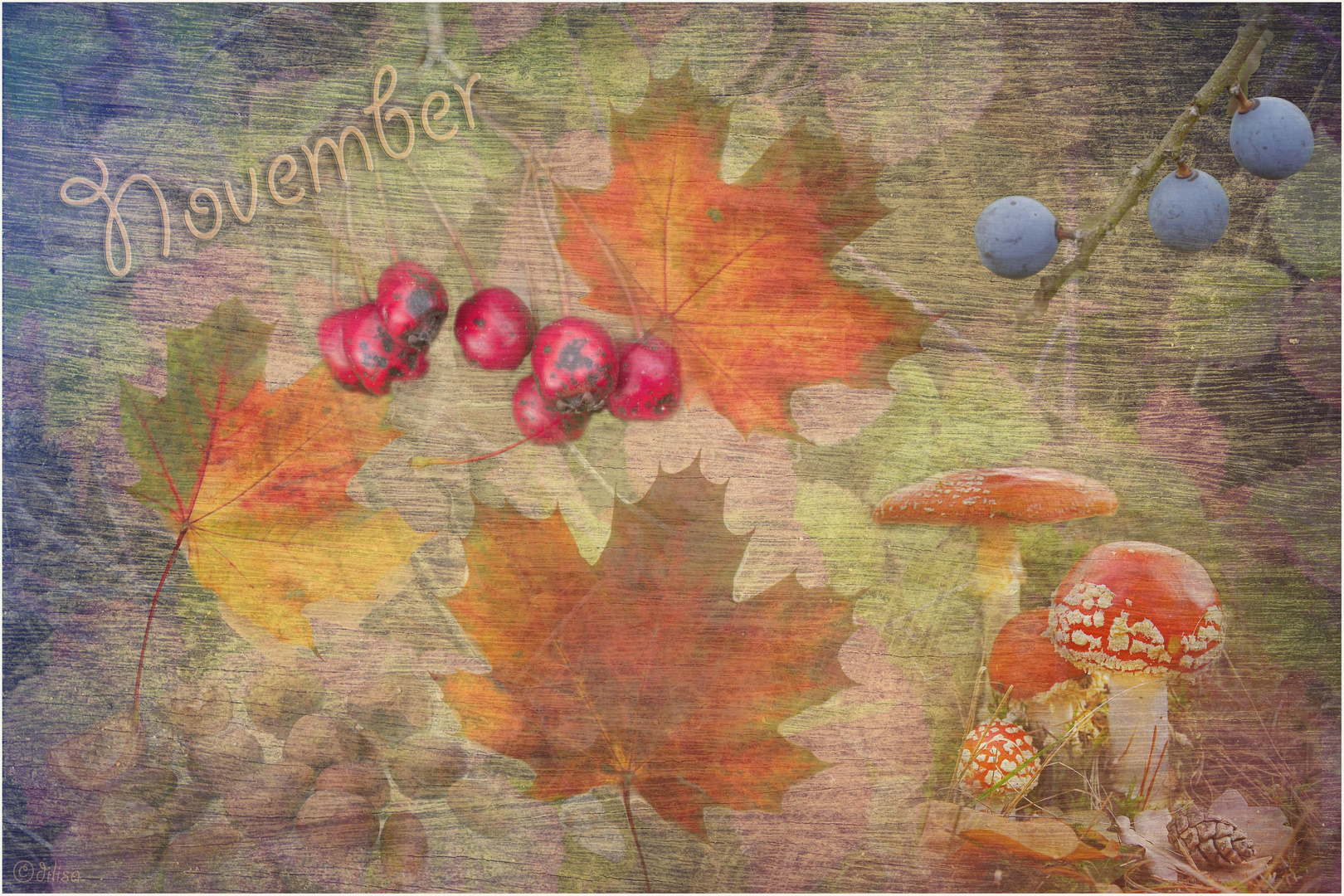 November Foto & Bild | natur, herbst, composing Bilder auf fotocommunity