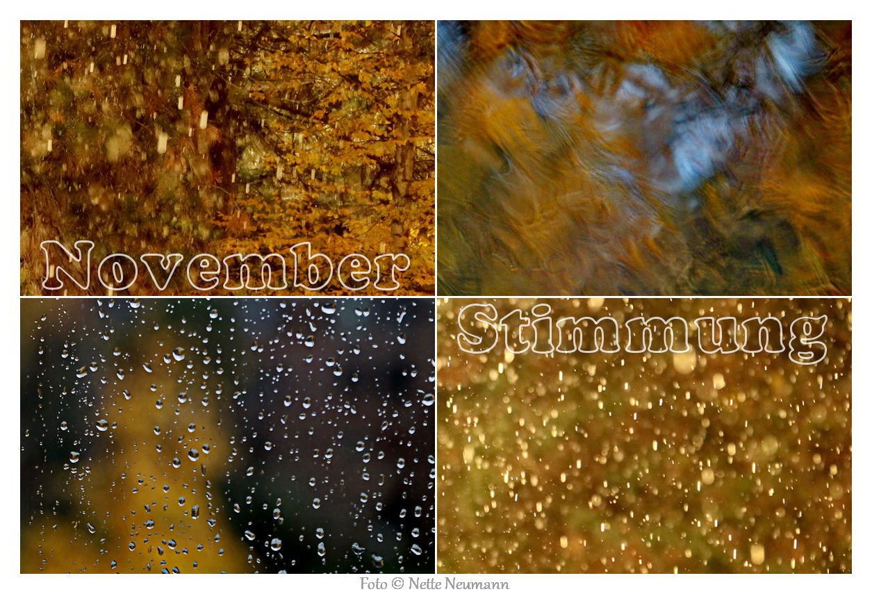 November Foto & Bild | jahreszeiten, herbst, regen Bilder auf fotocommunity