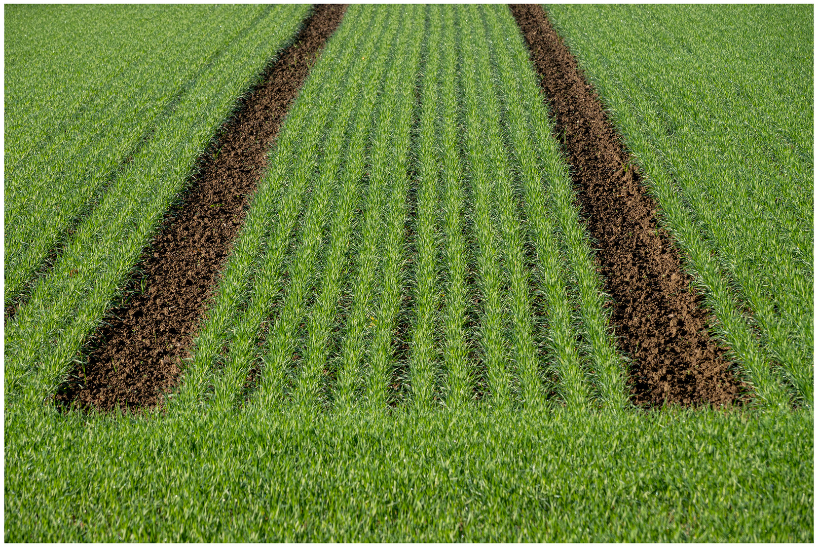 November-Acker Foto & Bild | landschaft, kulturlandschaften, natur ...