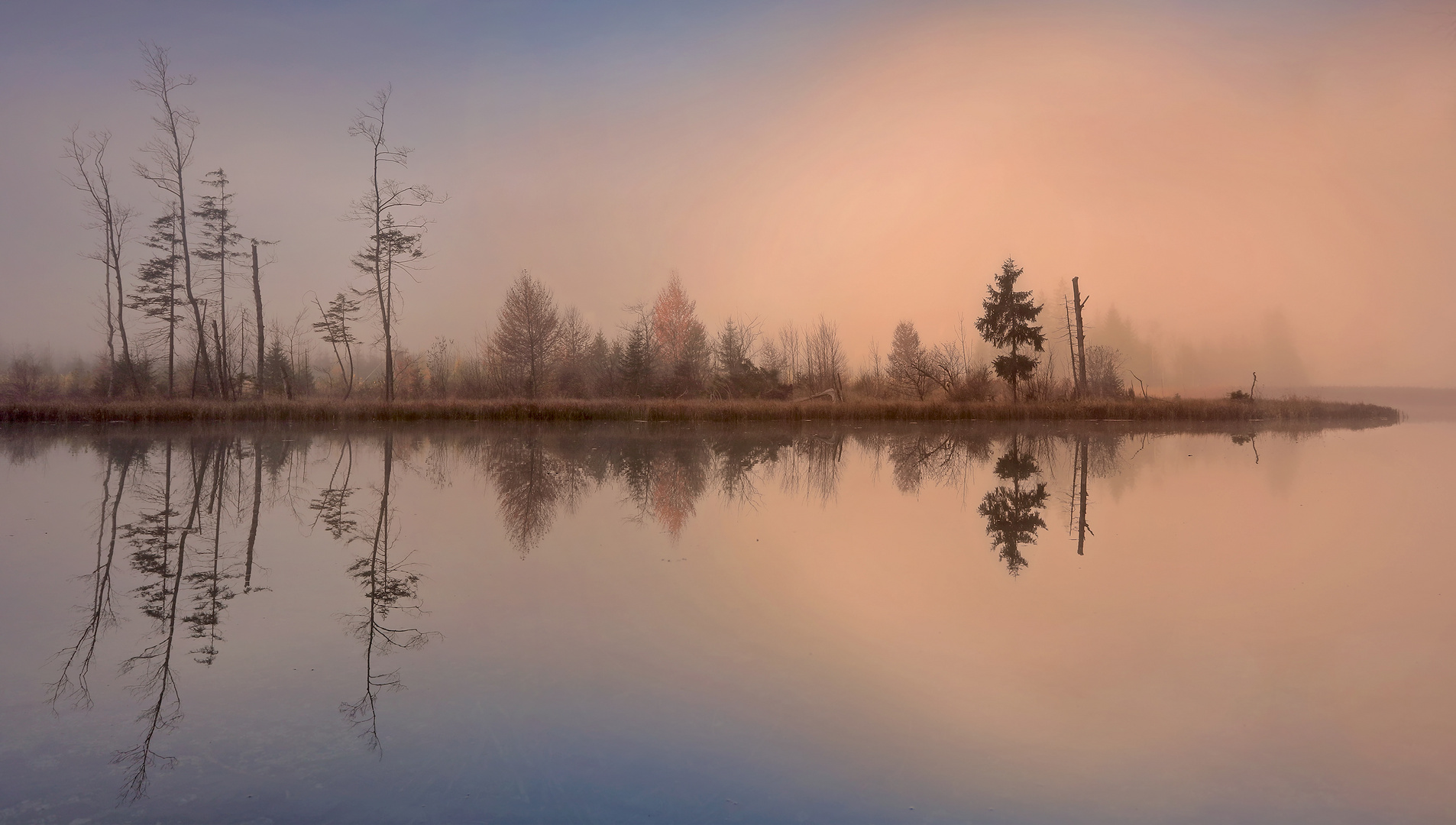 November Foto & Bild | landschaft, bäume, himmel Bilder auf fotocommunity