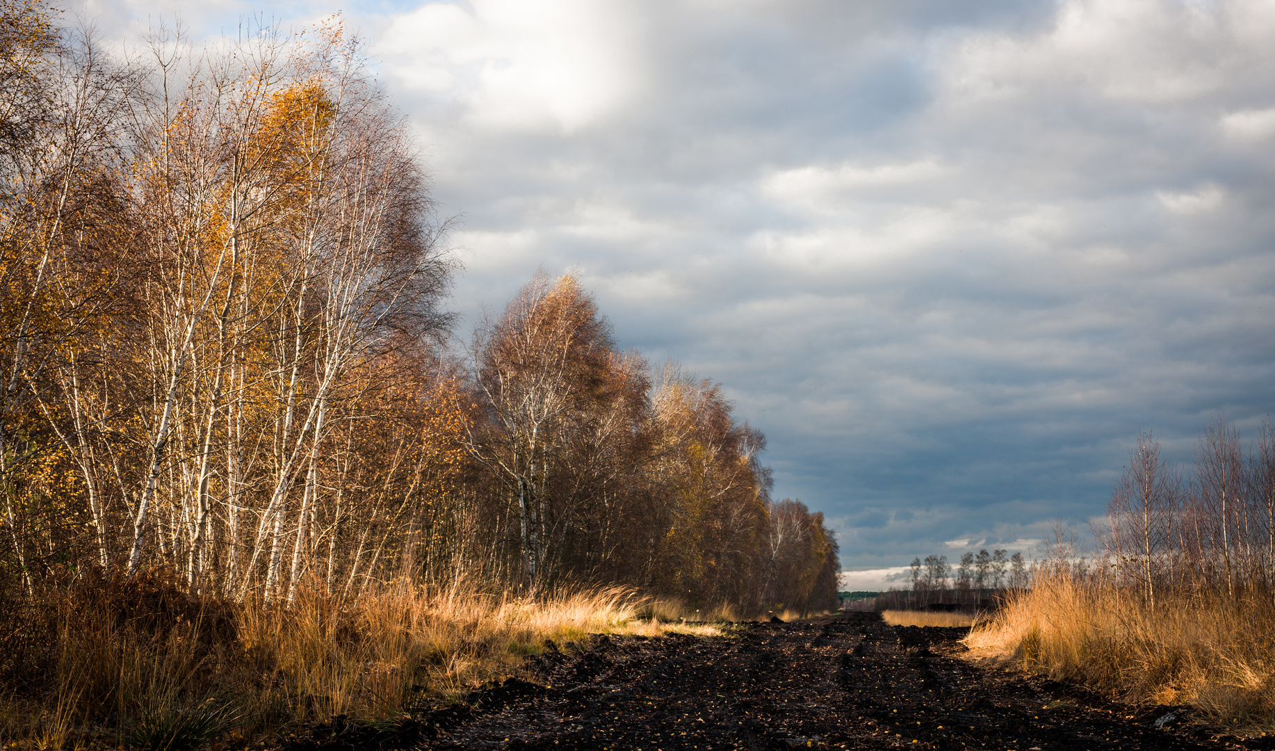 November...- Foto & Bild | stille, natur, herbst Bilder auf fotocommunity