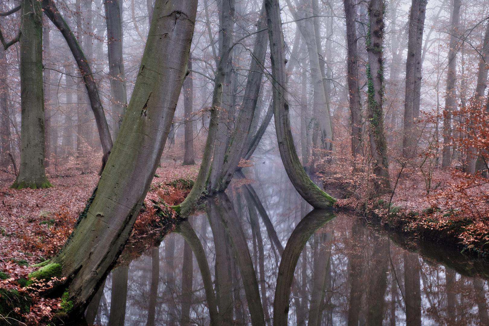 November Foto & Bild | natur, herbst, landschaft Bilder auf fotocommunity