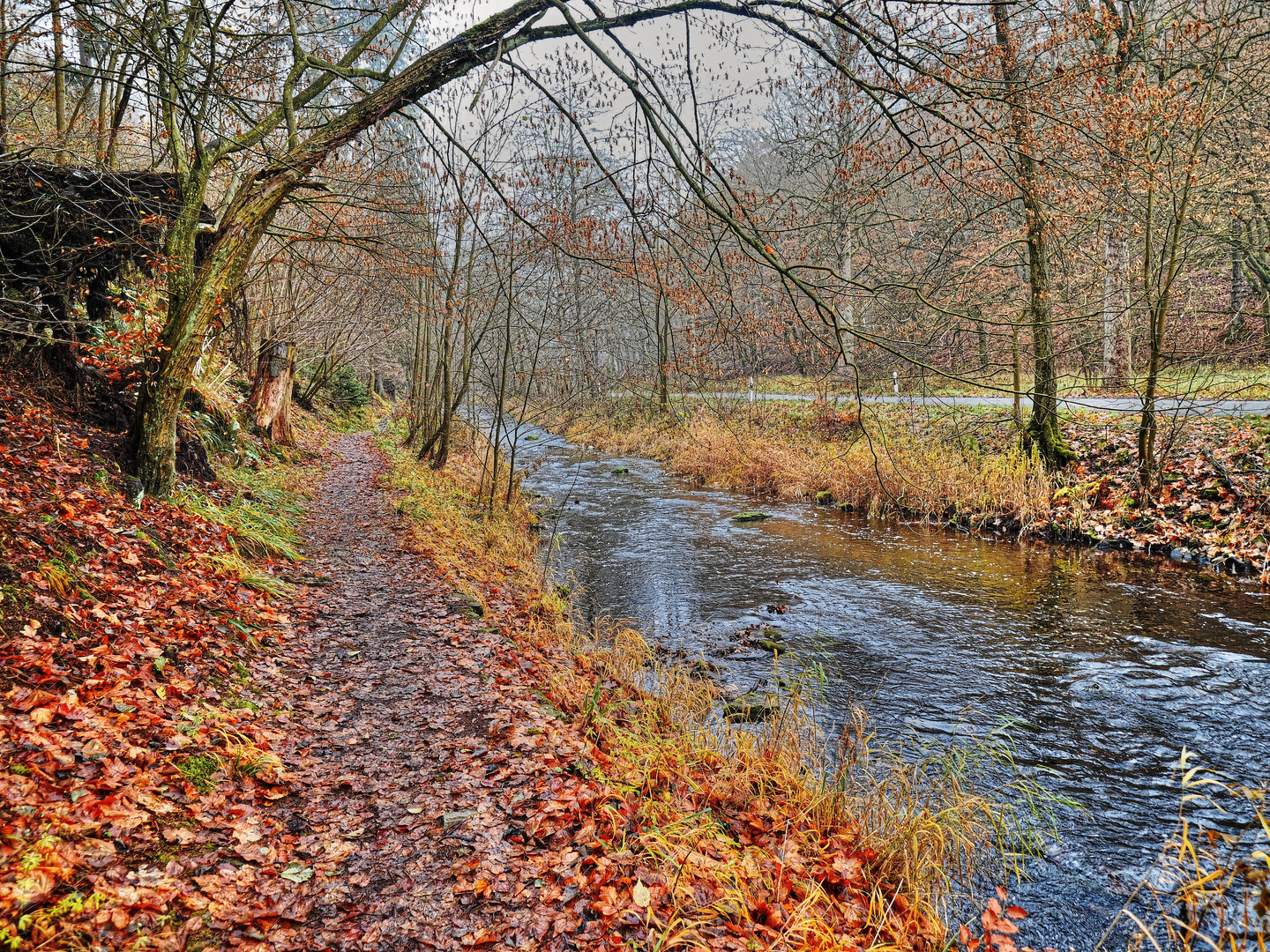 November Foto & Bild | deutschland, europe, sachsen- anhalt Bilder auf ...