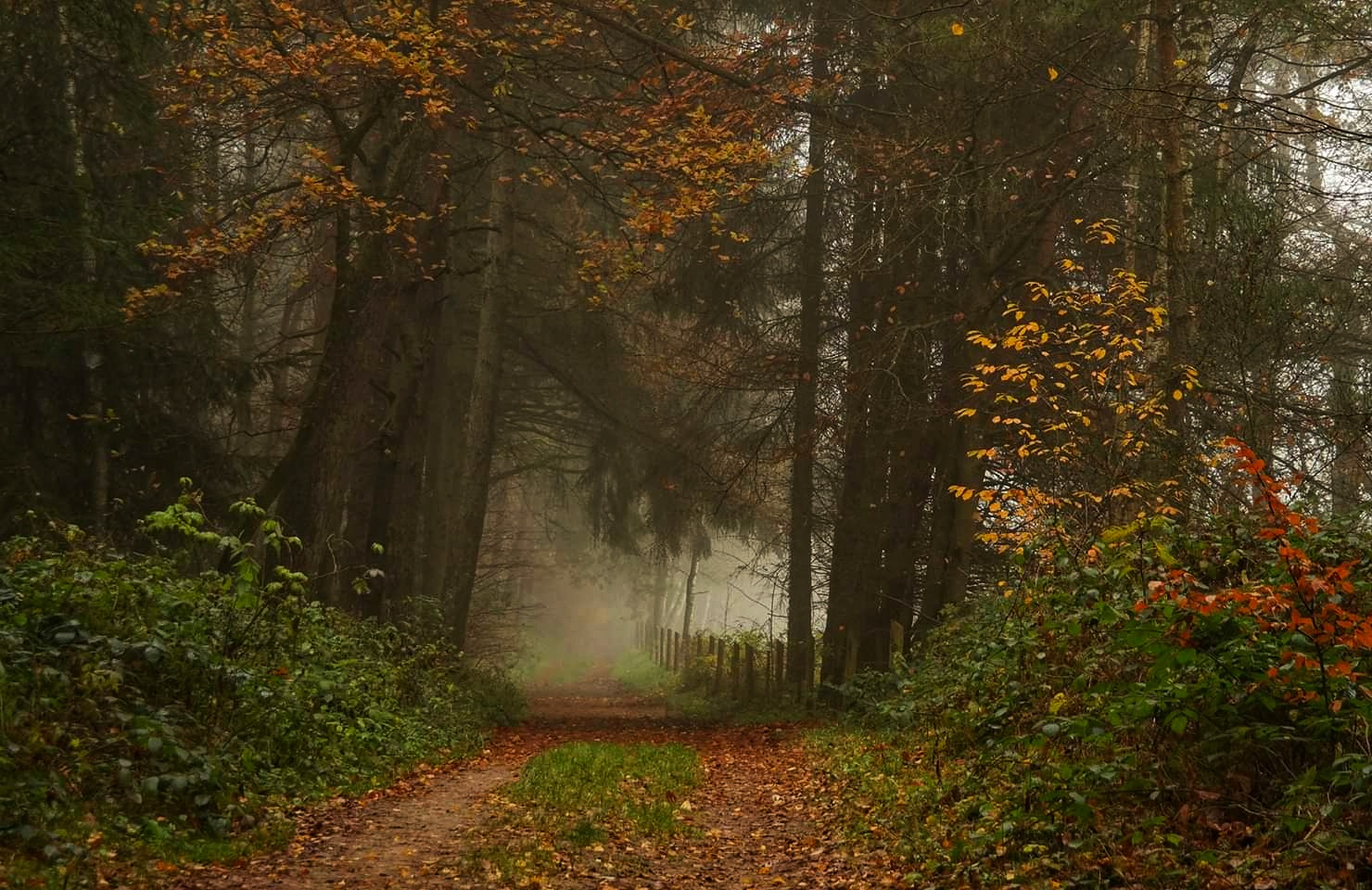 November-Impression Foto & Bild | natur, jahreszeiten, landschaften ...