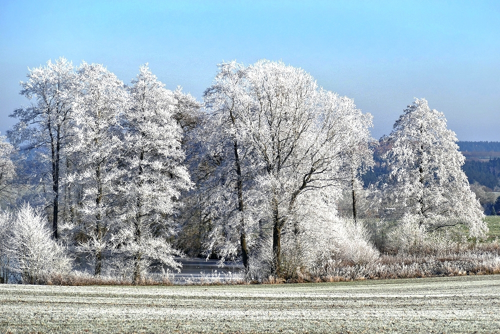 November kann auch schön Foto & Bild | bäume, natur, landschaft Bilder ...